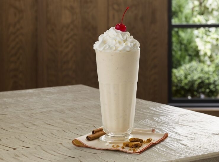 10 Best Fast Food Shakes 2023 - Complete Guide