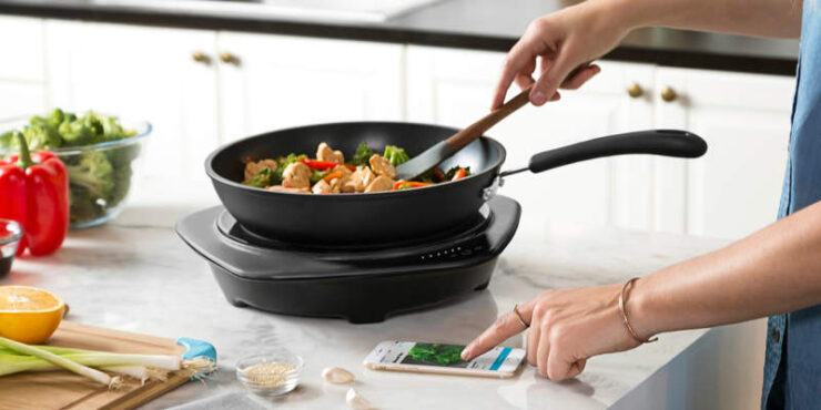 10 Best Induction Burners 2023 - For Great Cooking Anywhere